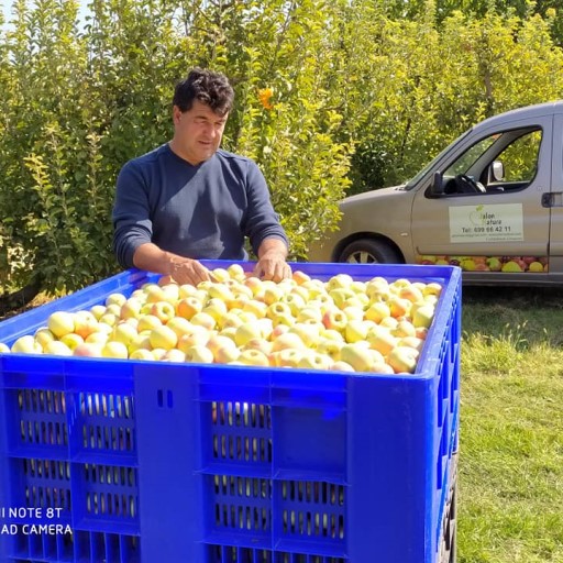 Frutas Bio Jalonnature