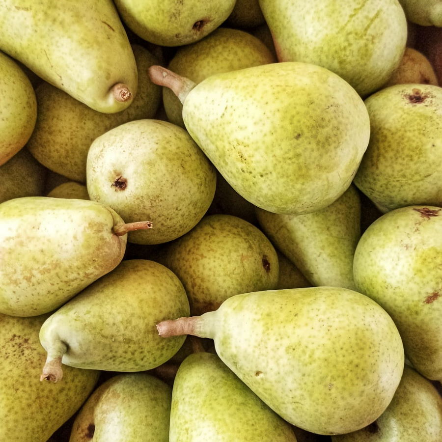 BOLETÍN Nº 84 - Muestra Agroecológica