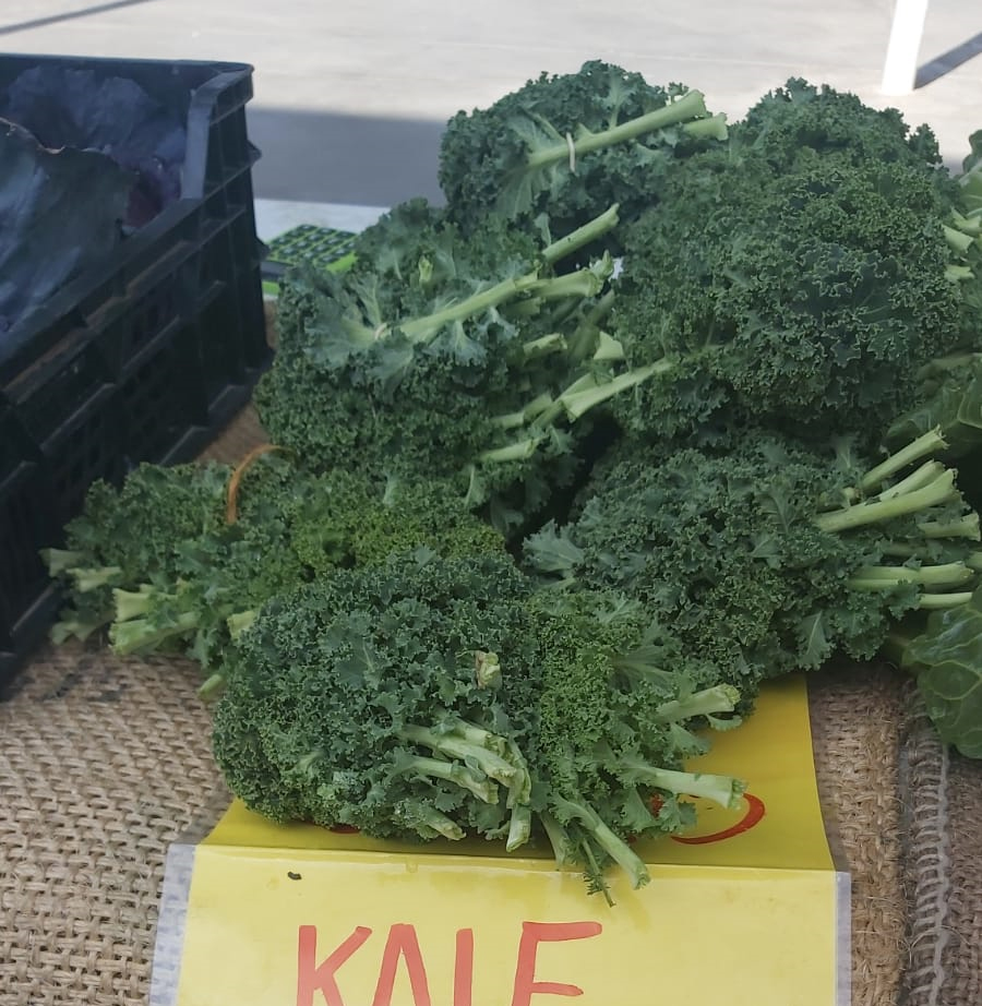 BOLETÍN Nº 147 - Muestra Agroecológica